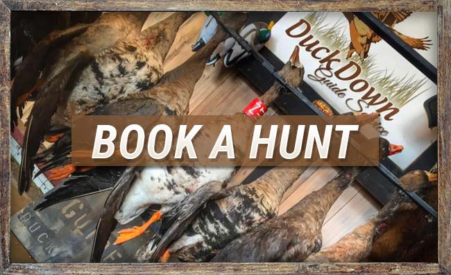 Duck Down Guide Service | Arkansas Duck Hunting | Duck Hunting Guide ...