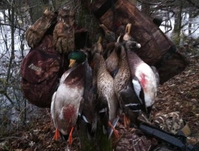 Duck Down Guide Service - Duck Hunting Pics From The Past Photo 27