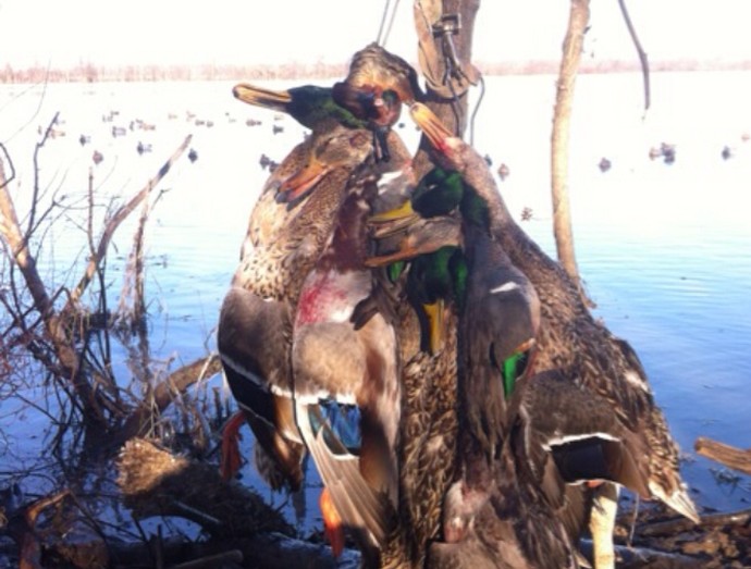 Duck Down Guide Service - Duck Hunting Pics From The Past Photo 67