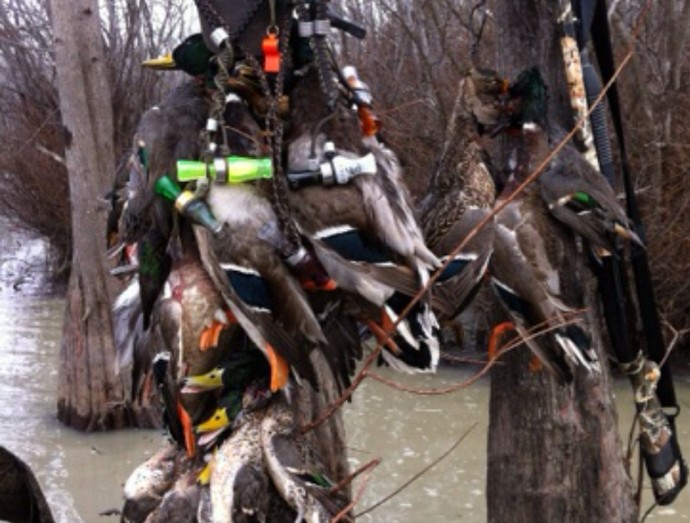 Duck Down Guide Service - Duck Hunting Pics From The Past Photo 69